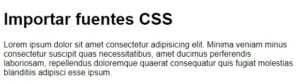 Importar fuentes en CSS - Caronte Web Studio ️